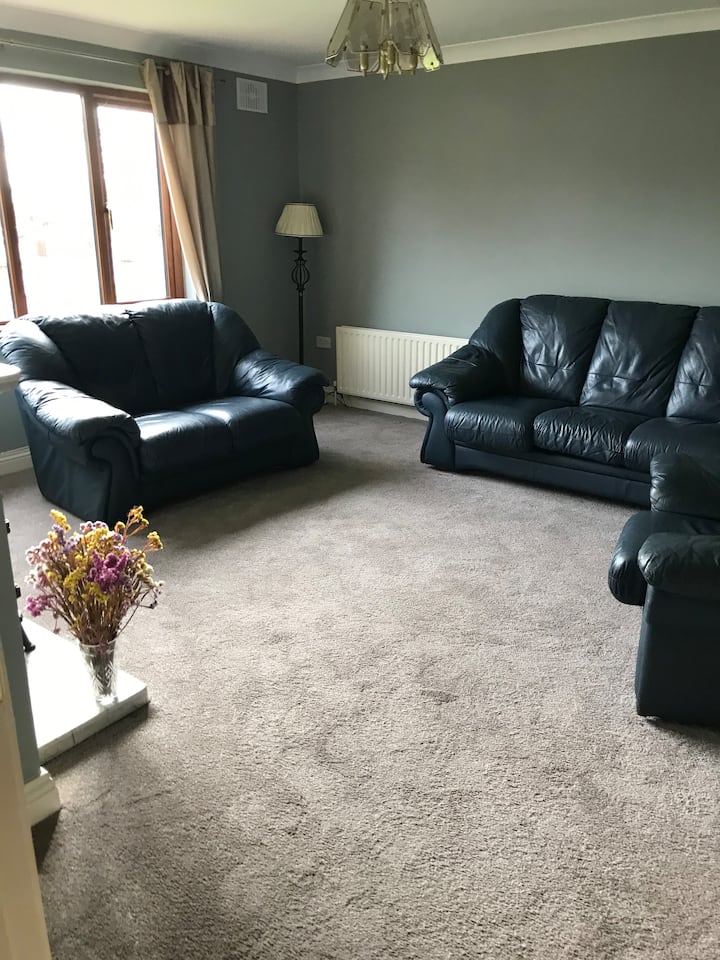 Town House For A Holiday - Carlow