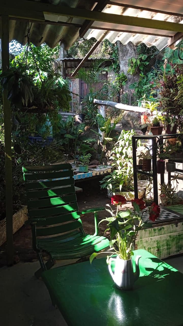 Bem Vindos A Casa Jaguar Family - Ilha Grande