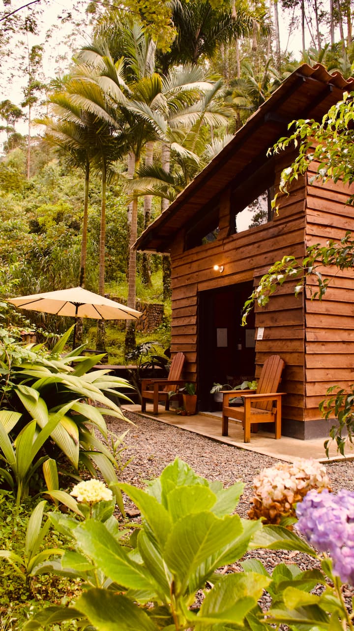 Glamping De Lujo Con Jacuzzi En Jardin Antioquia - Andes