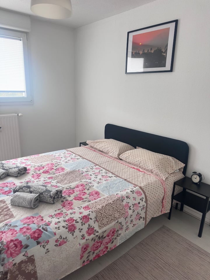 Geniş, Kullanışlı, Tramvaya Ve Zenith E Yakın - Strasbourg