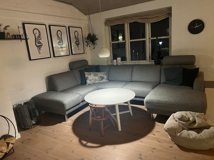 Ideel Til En Børnefamilie. - Lemvig