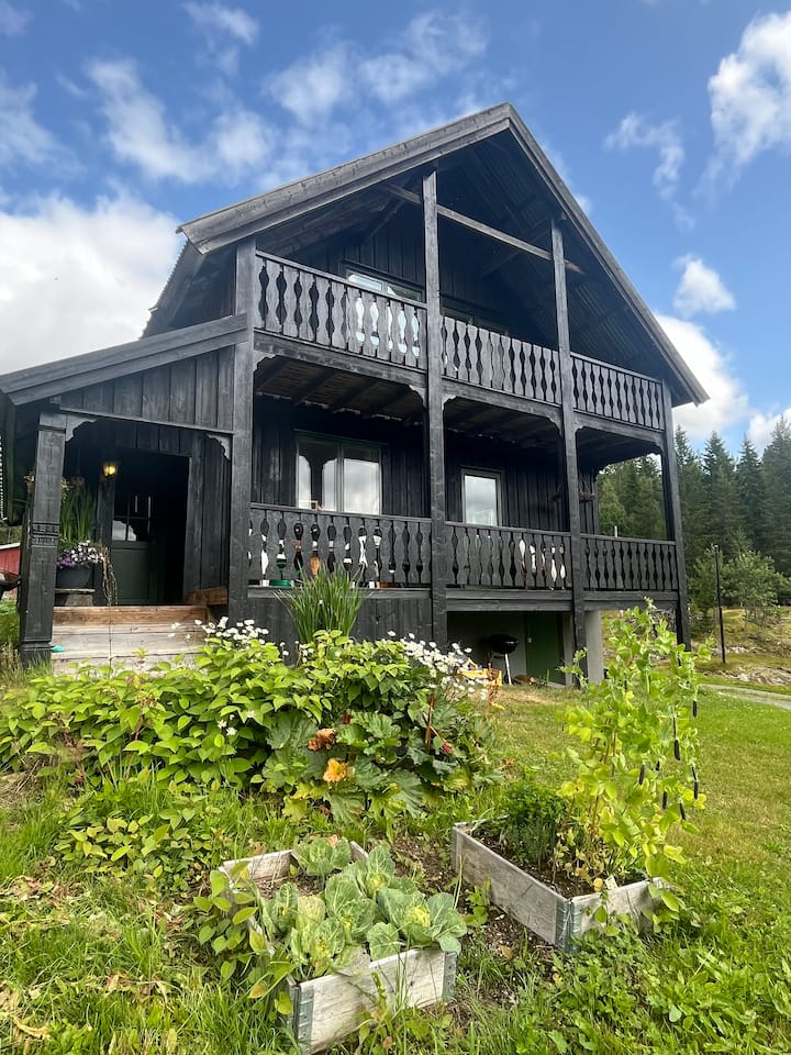 Sjarmerende Småbruk I Vakre Vinje - Norvège