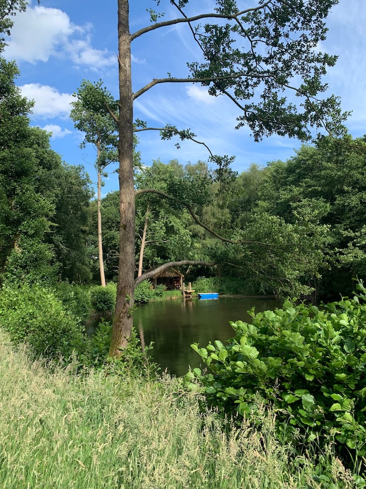 Kingfisher Cabin Lakeside & Woodland Views & Walks - Norfolk