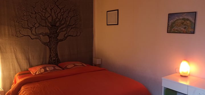 Chambre Dans Une Maison - Cugnaux