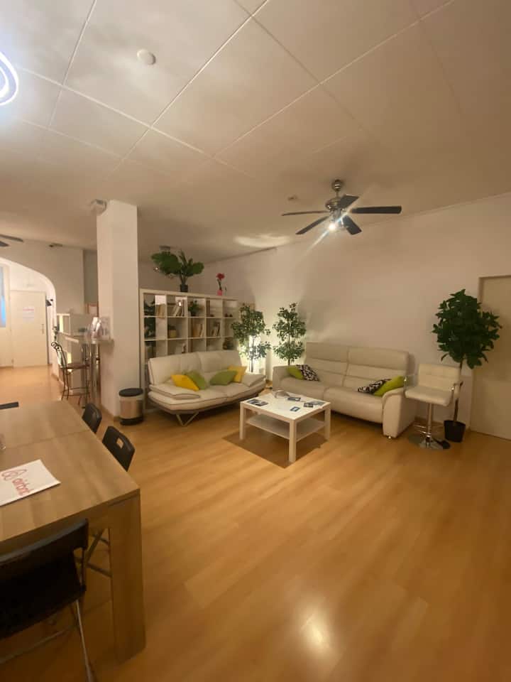 Chambre King Size (180) 3min Gare Cornavin Genève - Genève