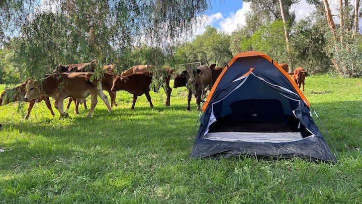 Acampa En La Naturaleza - Querétaro