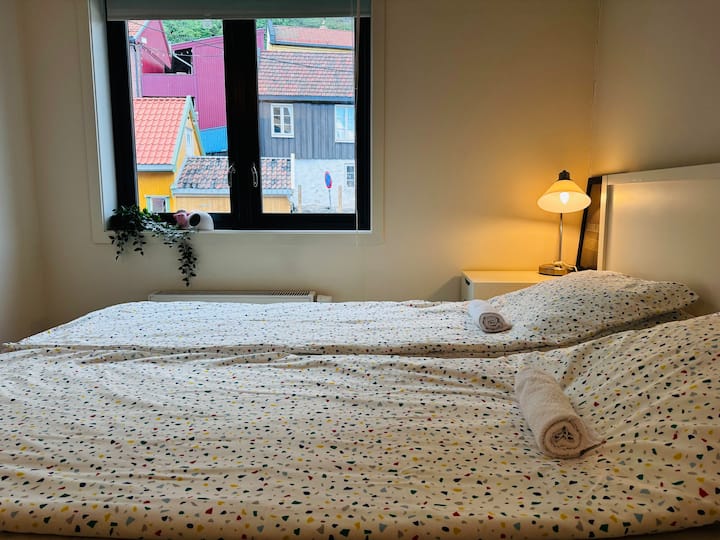 Central Oslo Aprt With Lift And Parking Free - Oslo