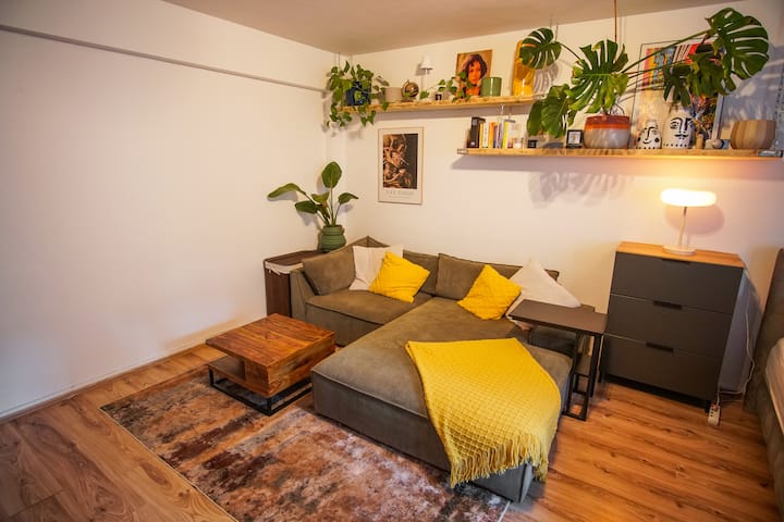 Zentrales 1 Zimmer Appartement In Ruhiger Lage - Cologne