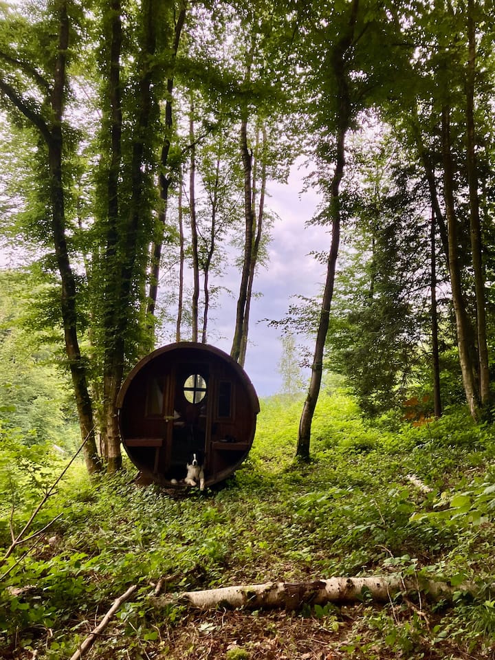 Cabin In The Woods - Hastiere