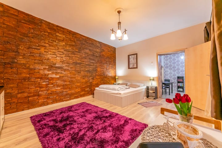 Bellecentral Apartment - Ghimbav