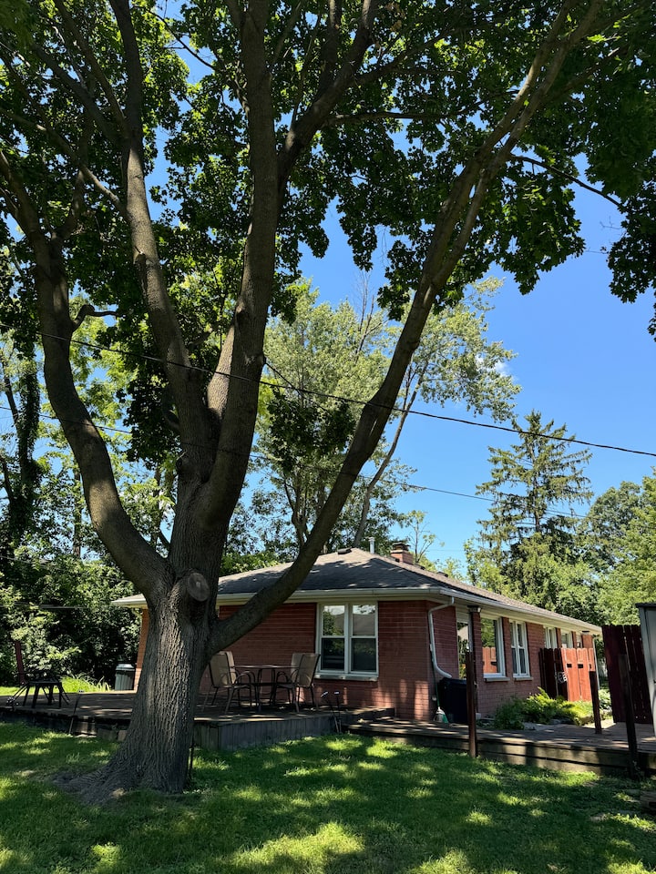 Ann Arbor Double Hitter! - Ann Arbor, MI