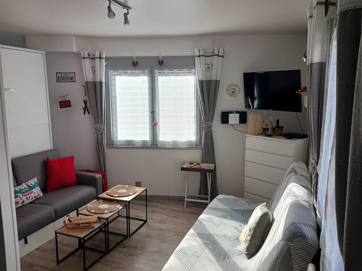 Superbe T2, Hyper Centre 1 à 5 Pers, 5 Lits - Puy de Sancy