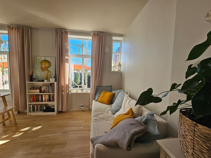 Modern, Cozy And Central! - Oslo