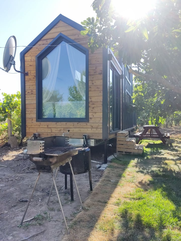 Dikili Zeytiny House - Dikili