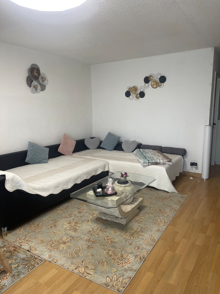 Chambre à Louer Pour Femme - Nyon