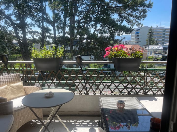 Appartement Spacieux à Nyon - Nyon