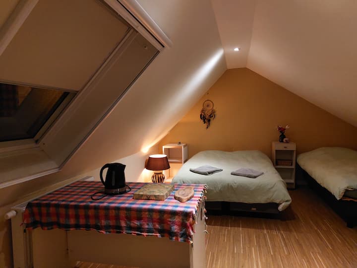 Ecologische Tweepersoonskamer A/d Stadsrand - Gand