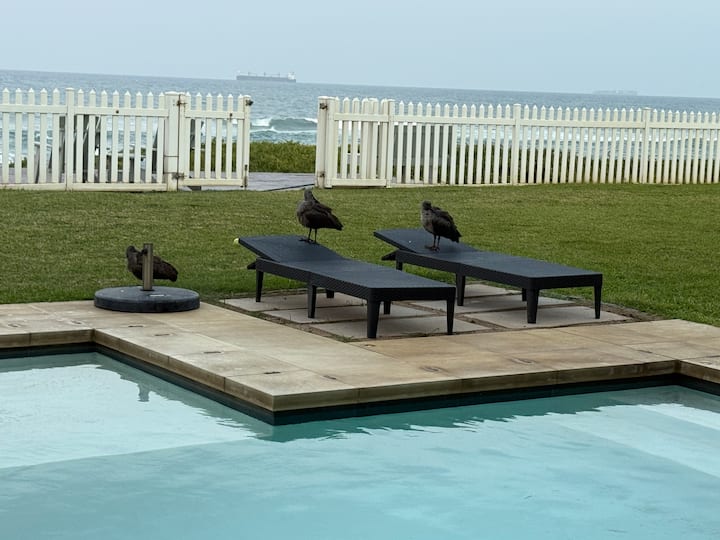 The Beach House Umhlanga - Umhlanga