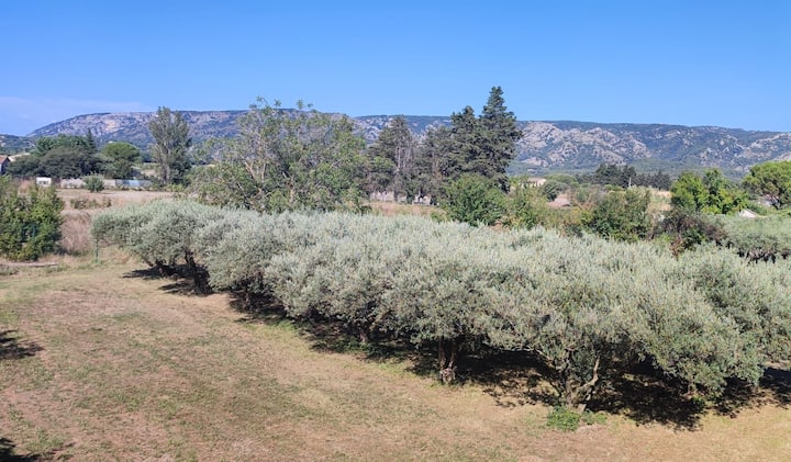 Maison De Campagne Au Pied Du Luberon En Provence - Cheval-Blanc