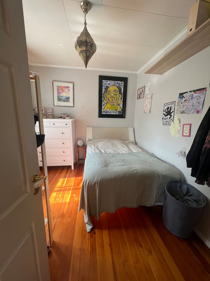 A Cozy Down Town Reykjavík Appartment - Reykjavík