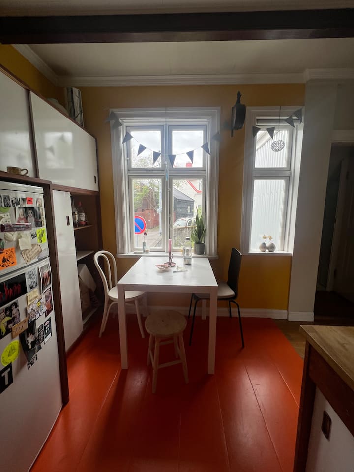 A Cozy Down Town Reykjavík Appartment - Reykjavik