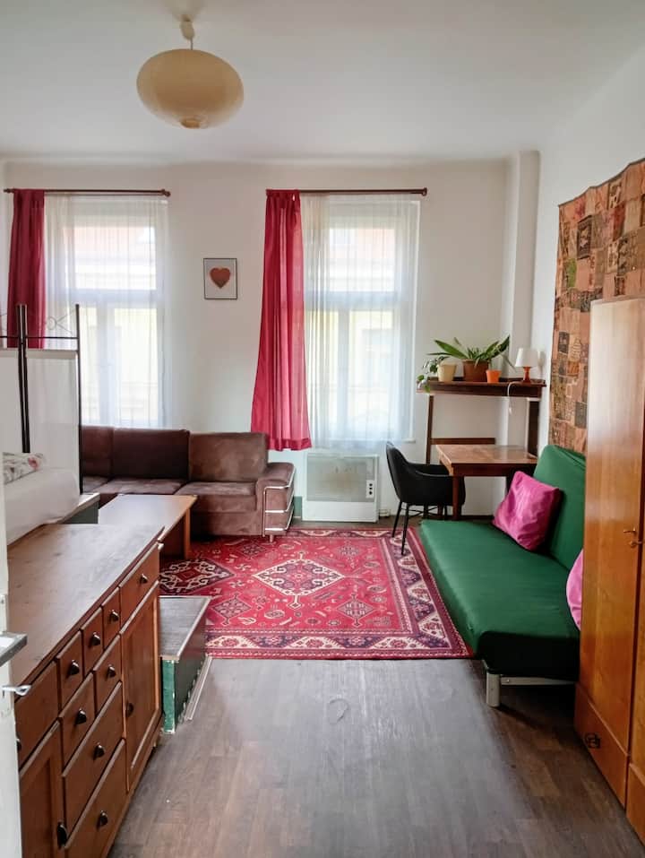 Spacious Apartment Close To Center - Praga
