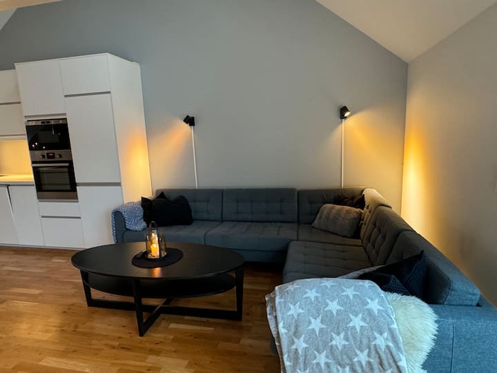 Loftleilighet I Trondheim! - Trondheim