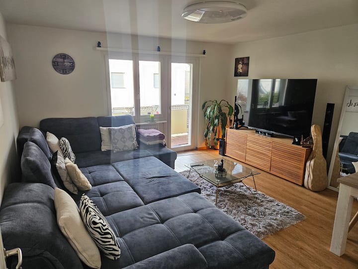 Uetliberg View Apartment.suny 2 Room &Sleeper Sofa - Zürich