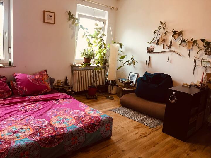 Gemütliche Wohnung In Würzburg - Würzburg