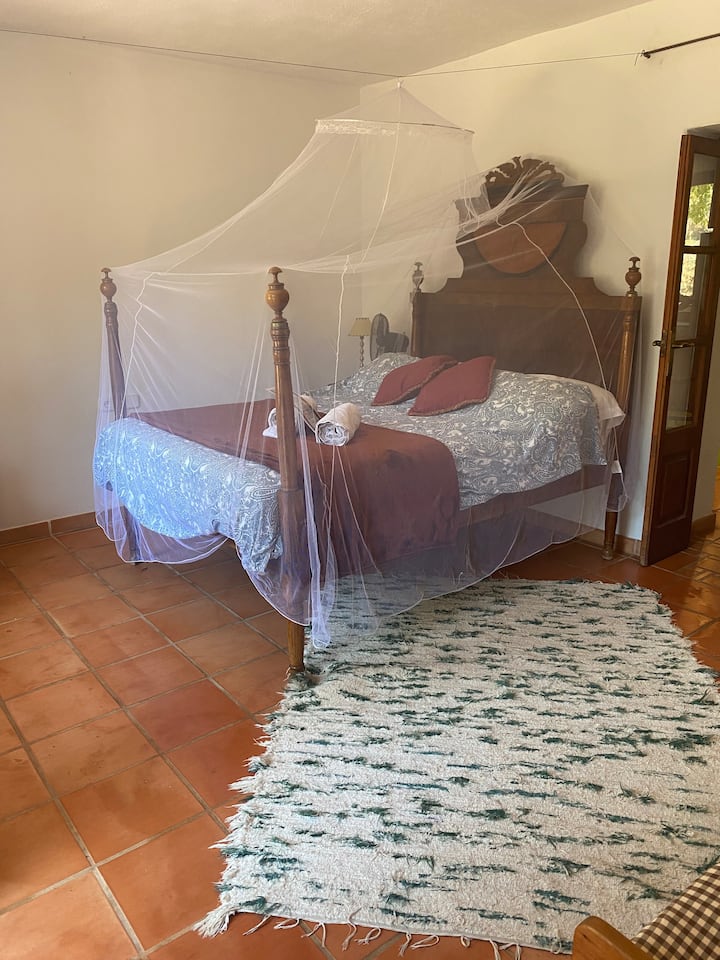 Habitación Espaciosa En El Corazón De La Isla - Mallorca