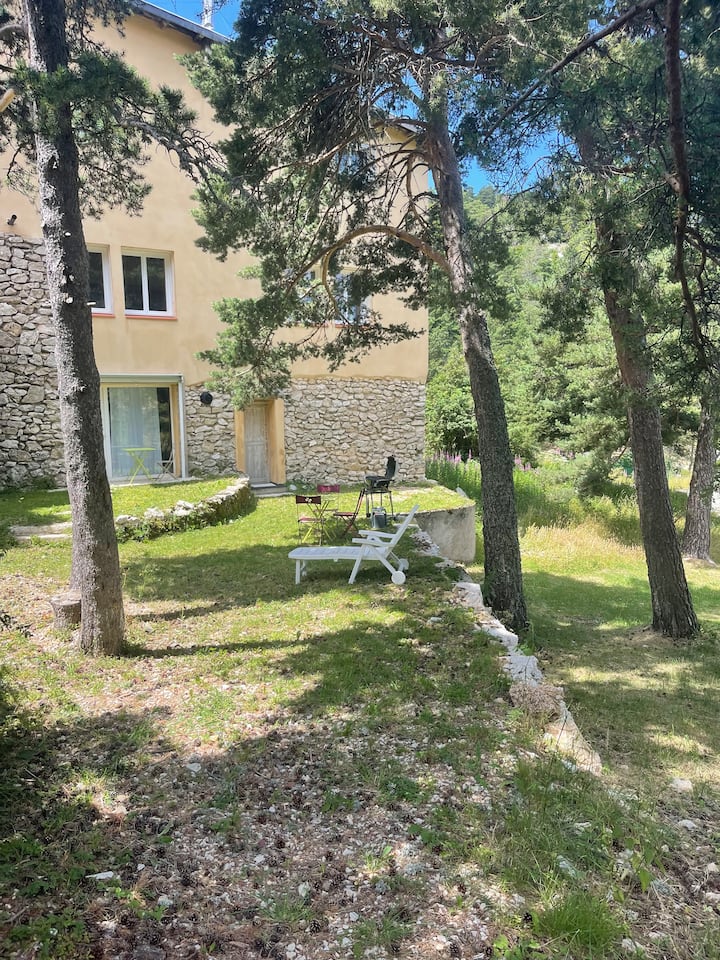 Magnifique Gîte Mont Ventoux - Mont Ventoux