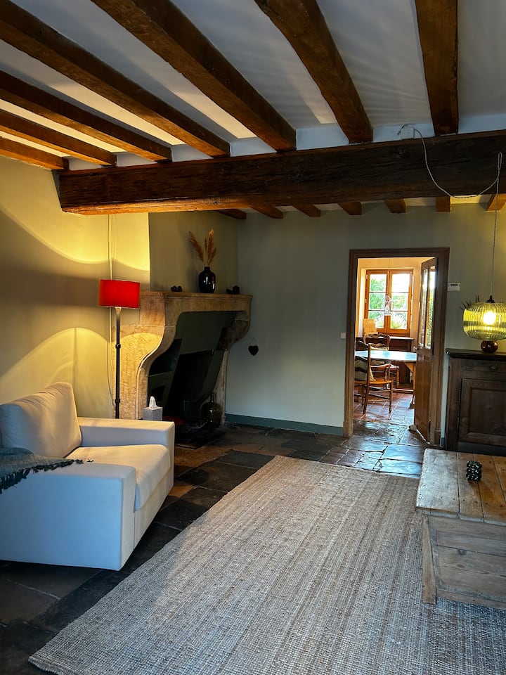 Maison De Charme & Jardin Dans Une Ville Médiévale - Semur-en-Auxois