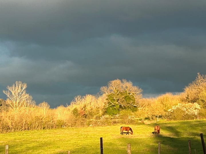 Casa Del Mugnaio - Monteriggioni