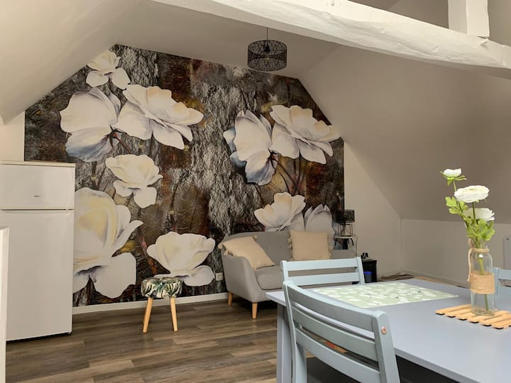 Appartement Avec Cour - Gien