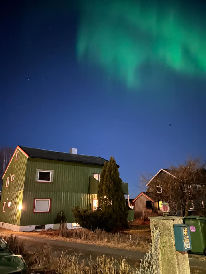 Leilighet- Stue 2 Soverom(15 Min. Til Byen) - Trondheim