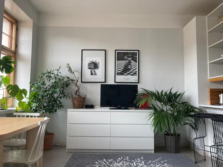 Valoisa Läpitalon Huoneisto - Helsinki
