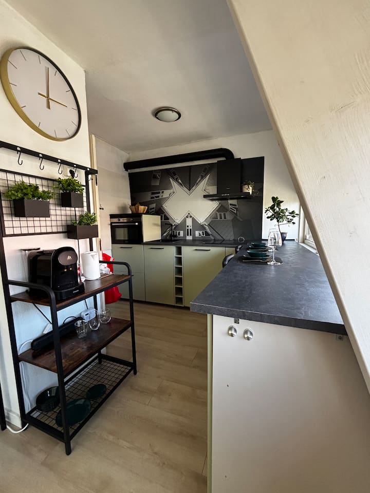 Rustige Studio Op Toplocatie - Delft