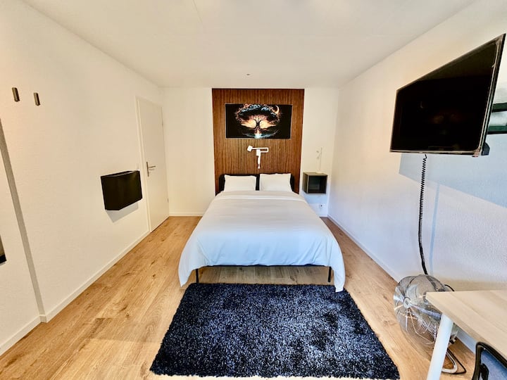 Cosy Room At Lausanne Center (312) - Lausanne