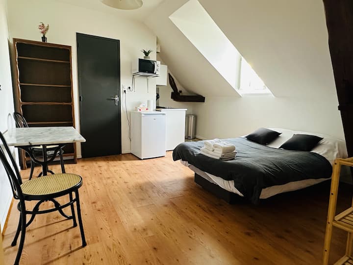 Studio Proche Centre Ville Wifi Et Parking Troyes - Troyes