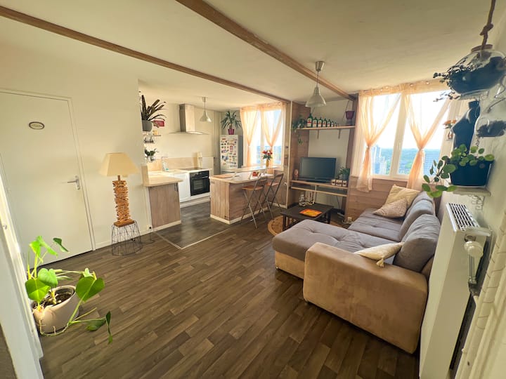 Appartement F3 Proche Stade Pierre Mauroy ! - Villeneuve-d'Ascq