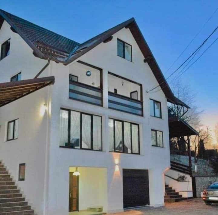Vila Vio Casa Vio - Borșa