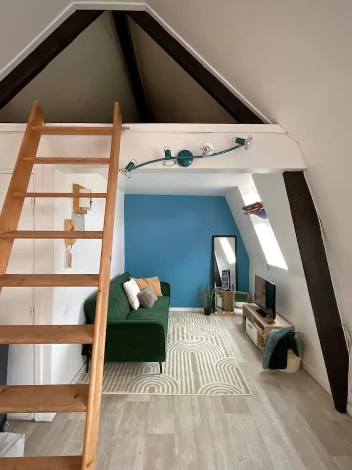 Appartement Hyper Centre Lille + Parking Privé - Nord