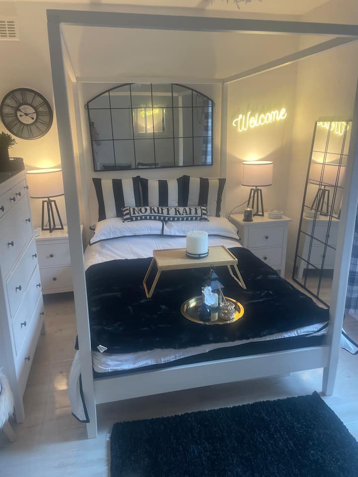 Loving Home With 3 Tiny Dogs - Glasgow