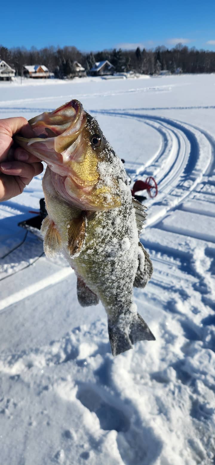 The Ponderosa On Pleasant Lake - 쿠펀헤이건