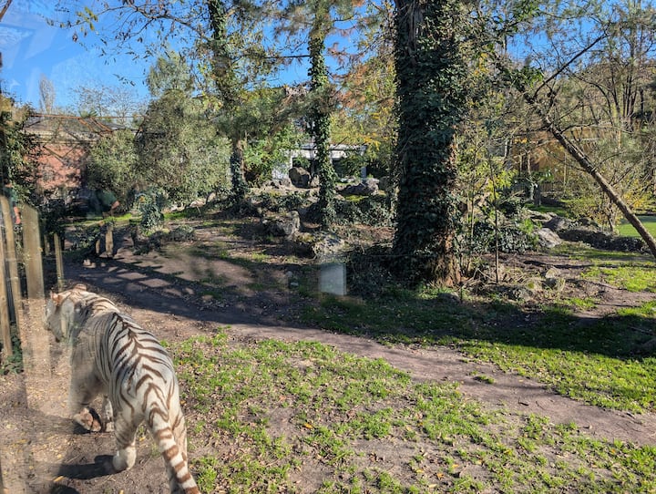 Lodge Tigre & Spa & Dîner – Accès Au Zoo - Marcheprime