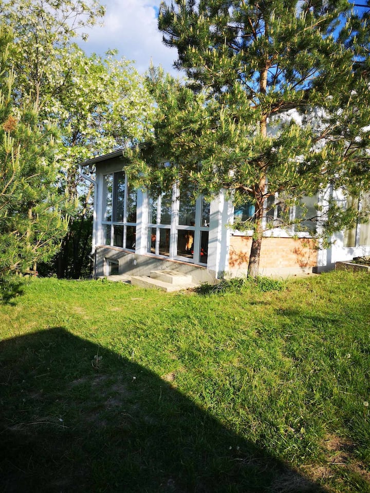 Rustic House In The Forest. - Călărași