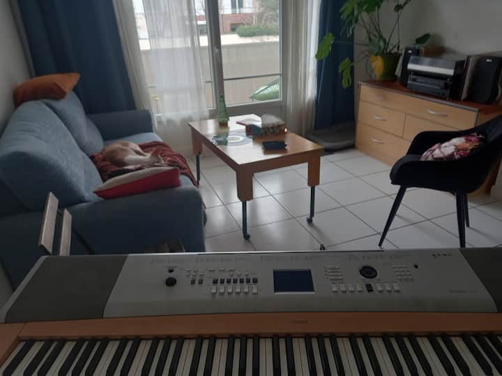 Chambre Chez L'habitant T2/t5eurexpo/lyon Centre - Bron