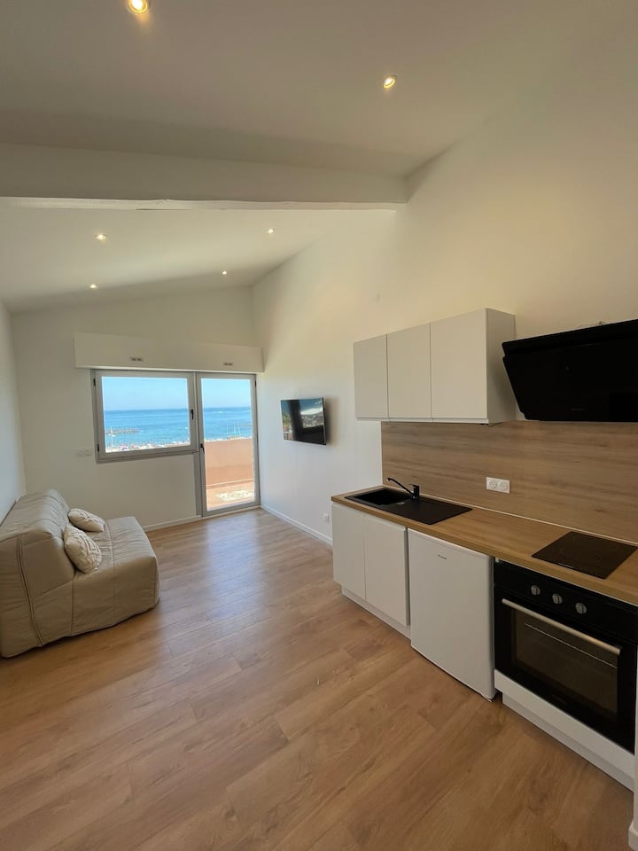 T2 Môle/roquille Vue Mer, Accès Plage Cap D’agde - Agde