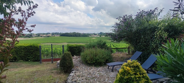 Maison Calme Proche Cnpe - Blaye