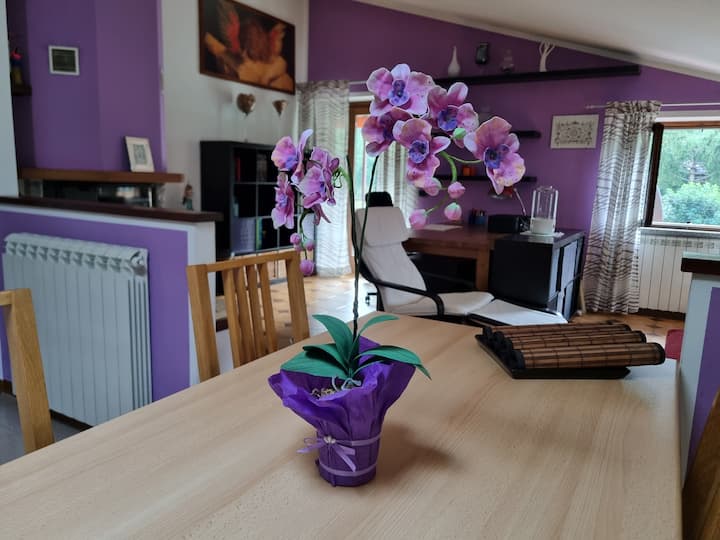 Mansarda Con Garage - Ceto Cinit017050c2lnoap324 - Italien